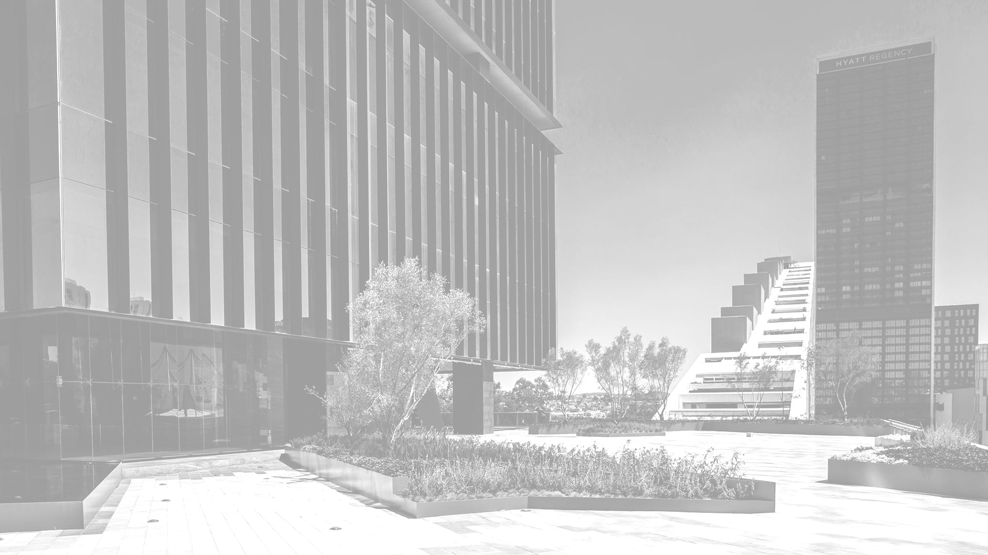 Grupo DMI – We build trust that transcends with value
